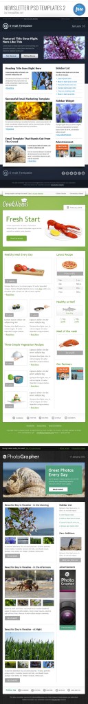 Newsletter PSD Template Set 2 - Free PSD Files