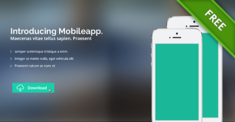 Free PSD App Website Template