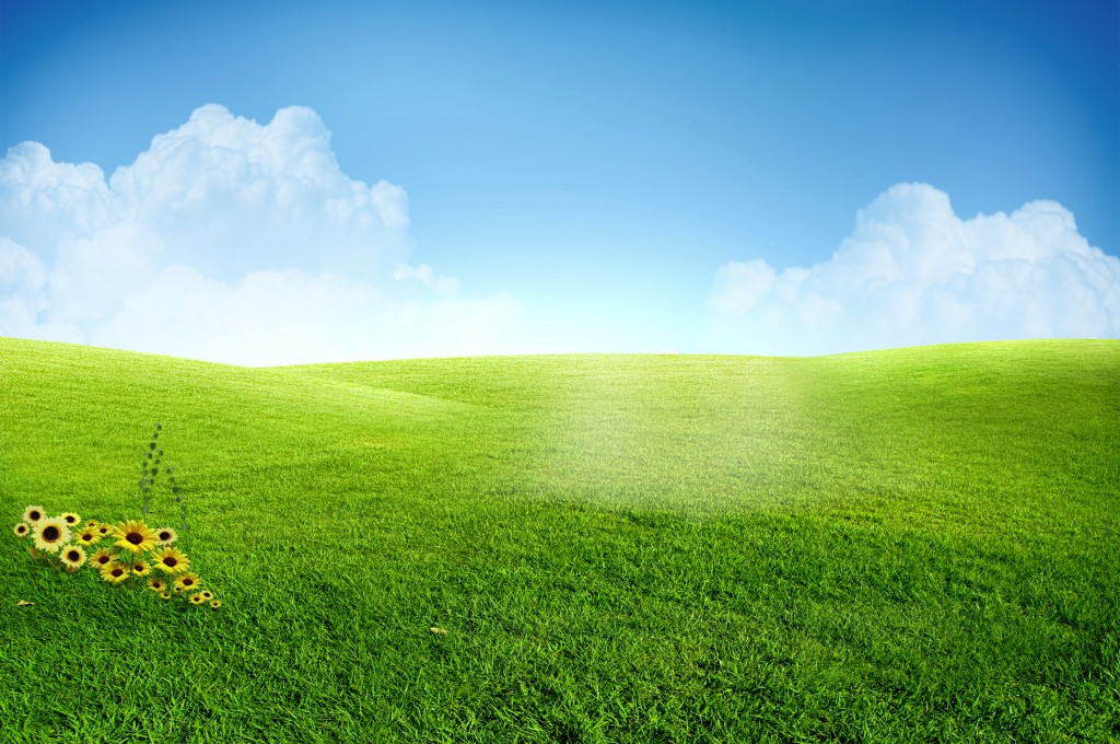 23 Free PSD Nature Backgrounds: Abstract, Watercolor, Realistic - Free ...